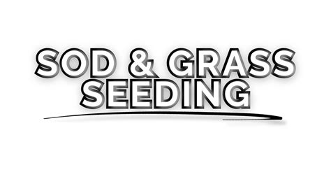 Sod And Grass Seeding — Lewys