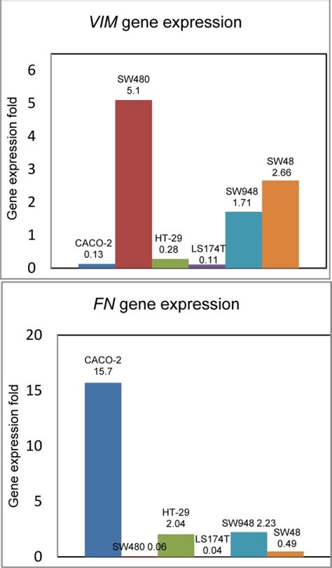 The Association Of Vimentin And Fibronectin Gene Expression With