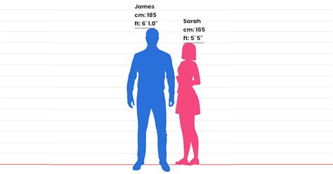 Height Comparison Chart A Comprehensive Guide Sirler