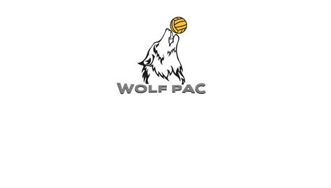 Entry 463 By Trilokesh008 For Wolf Pac Logo Design Freelancer