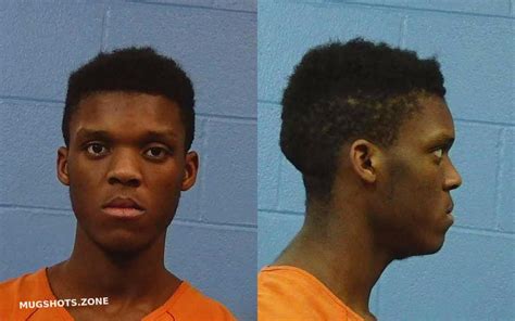 Wilson Eddie James 11 19 2022 Williamson County Mugshots Zone