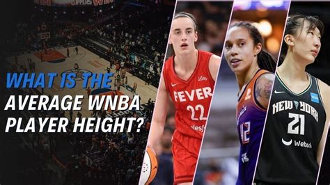 Average Height Of Wnba Player In 2025 By Position And Trends