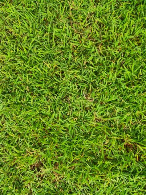 Green Grass Football Ground Stock Image Image Of Leaf Vegetation
