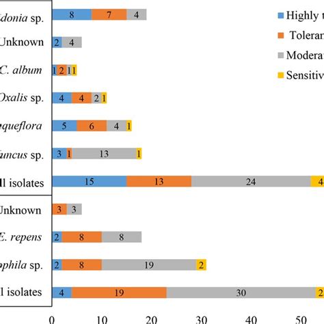 Categorization Of Endophytes Originating From Monocotyledonous And