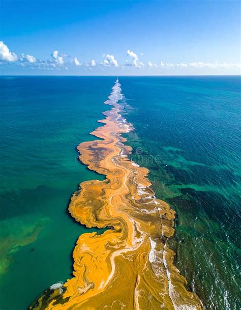 Sandbar Aerial Perspective Stock Illustrations 134 Sandbar Aerial