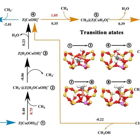 The Reaction Network Of Methane Conversion Towards Methanol In
