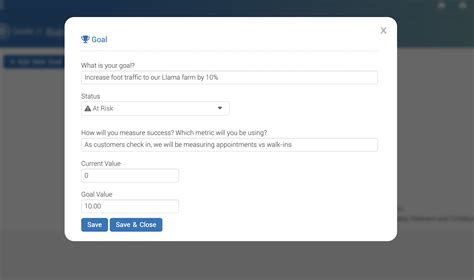 Cross Functional Project Management Leantime