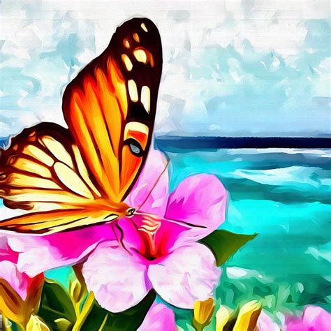 Bahama Butterfly 01 By Nativestew On Deviantart