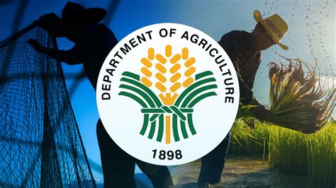 Da Eyes Seized Contraband Fish For Typhoon Relief Work