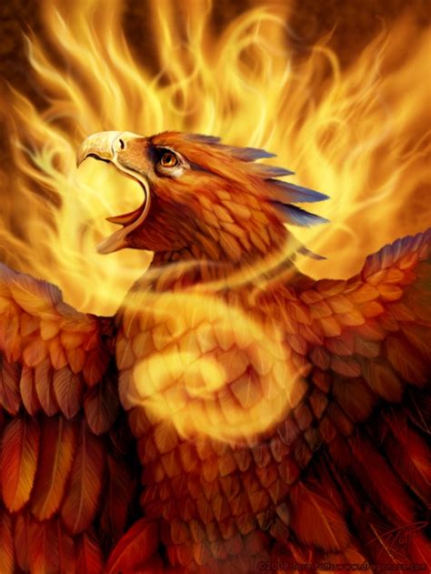 New Facts You Dont Know About The Legend Of The Phoenix Pouted