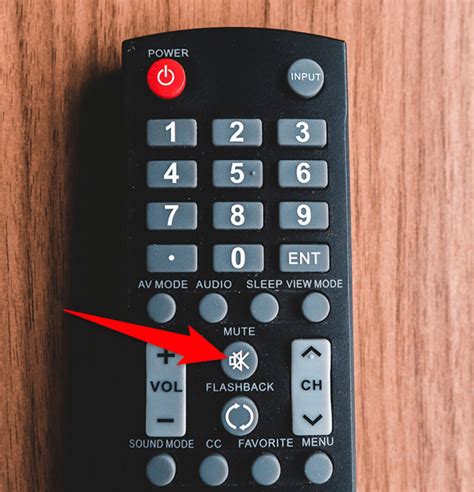 Mute Button Remote