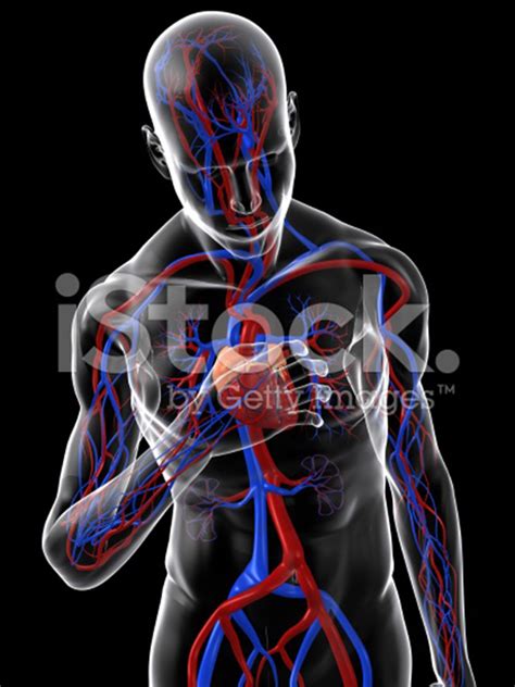 Ivc Junell Law Harris Junell Deborah Levy