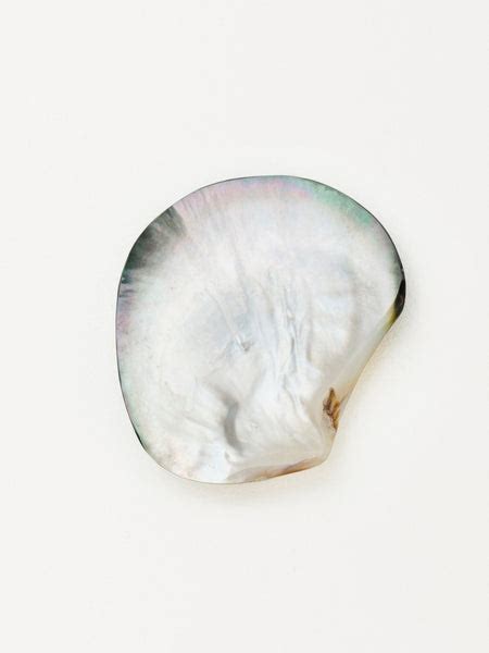 Shell Small Fourth St