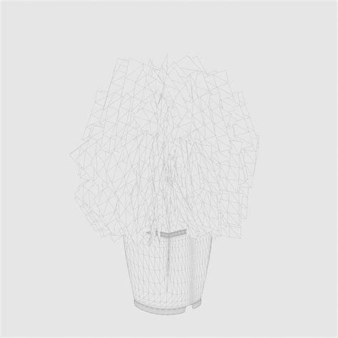 3d Model Tiny Tim American Arborvitae 3d Model Vr Ar Low Poly Cgtrader