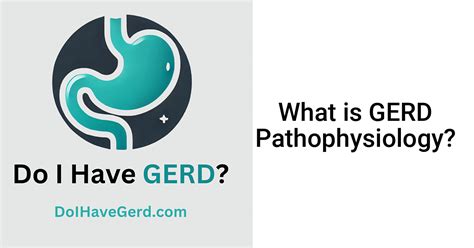 What Is Gerd Pathophysiology