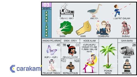 Erek Erek 03 Gambar Buku Mimpi 2d 3d 4d Kode Alam Terbaru