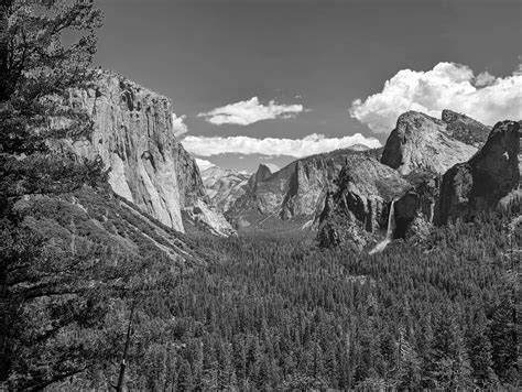 Virtual Assistant Training Programs To Build A Profitable Va Business