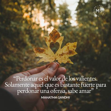 105 Frases Sobre El Perdón Y Sobre Aprender A Perdonar