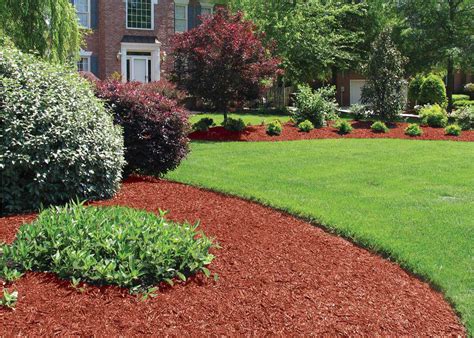 Using Red Mulch Landscape