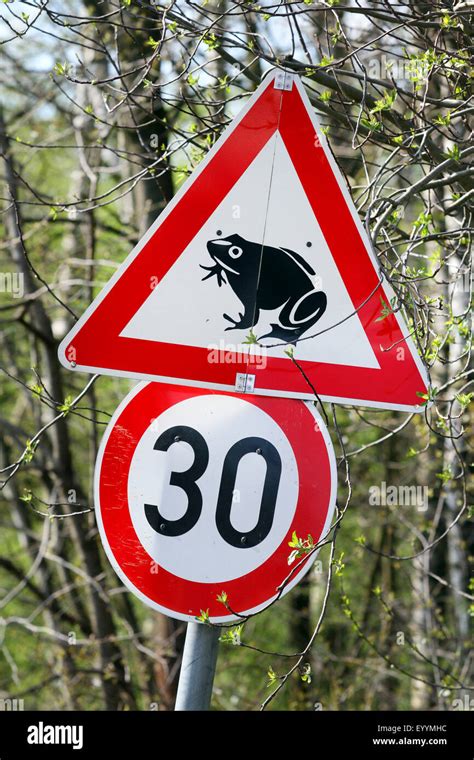 Traffic Sign Pointing Out Toad Migration Stock Photo Alamy