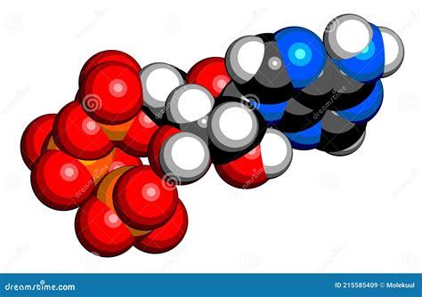 Purinergic Cartoons Illustrations And Vector Stock Images 18 Pictures