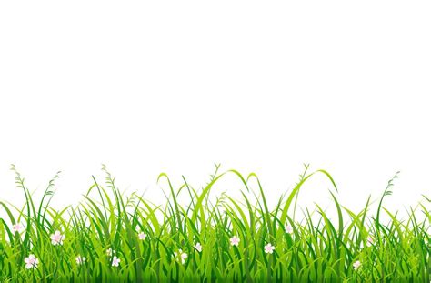 Realistic Detailed 3d Green Grass Line Vector 15936271 Vector Art At