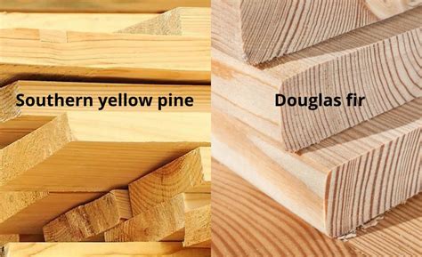 Southern Yellow Pine Vs Douglas Fir Top 7 Best Compare