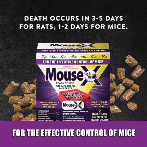 Mousex Bait Tray Mouse Killer 620107 At