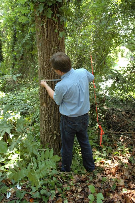 Topographic And Tree Surveys Residental Services Georgia Land Surveying