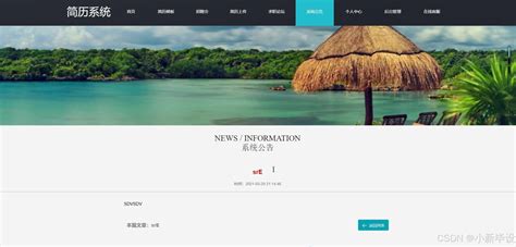 Java计算机毕业设计简历系统（开题报告源码论文）个人简历生成系统的设计与实现 毕业论文 Csdn博客