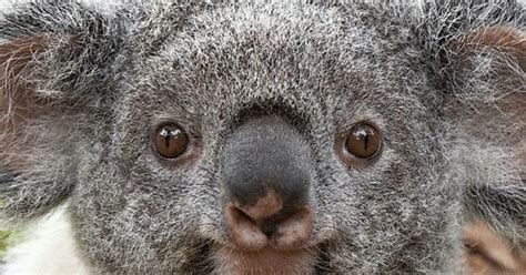 Squeesh It Album On Imgur