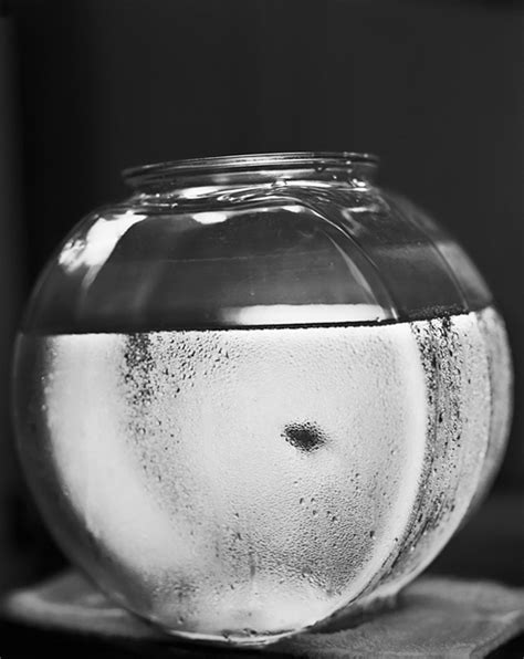 Cheryle St Onge — Fraction Magazine