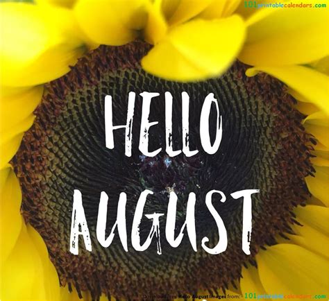 August Images Free Browse Getty Images Premium Collection Of High
