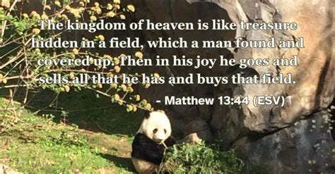 10 Joyful Bible Verses From The Gospel Of Matthew Joyful Moments In
