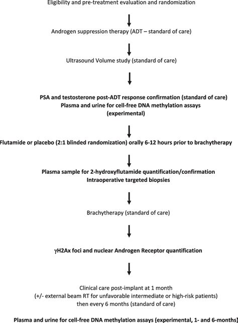 Trial Protocol Schema Denoting Research Vs Standard Of Care