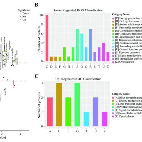 Differential Protein Expression Analysis Of Tilapia Liver Between The