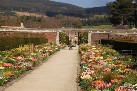 The Venue Powerscourt Estate House Gardens