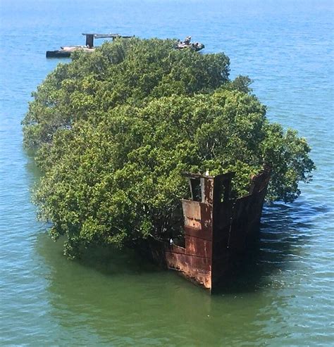 Ss Ayrfield History