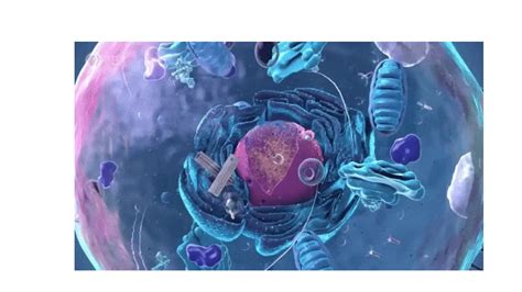 Scientist Of Cell Biology What Is A Cell 3d Image Of Prokaryotic Cell And Eukaryotuc Cell Pptx