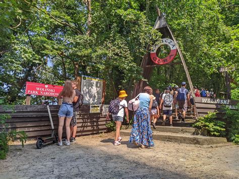 Kawcza Góra I Drewniane Schody Międzyzdroje Ul Campingowa