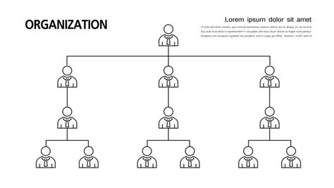 Diagrama De Organización Infografías Con Icono De Personas Y Línea