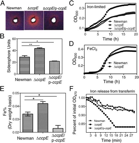Deletion Of Ccpe Results In Improved Ability Of S Aureus To Acquire