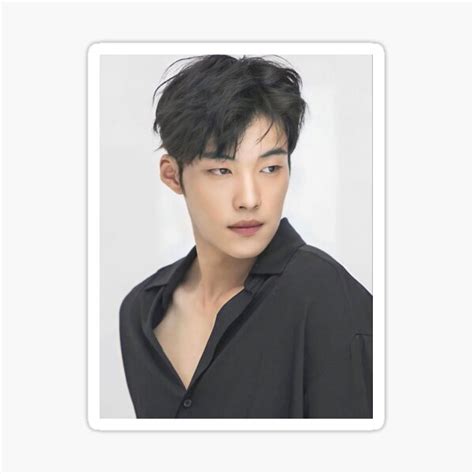 Woo Do Hwan Sticker For Sale By Theasianside Redbubble