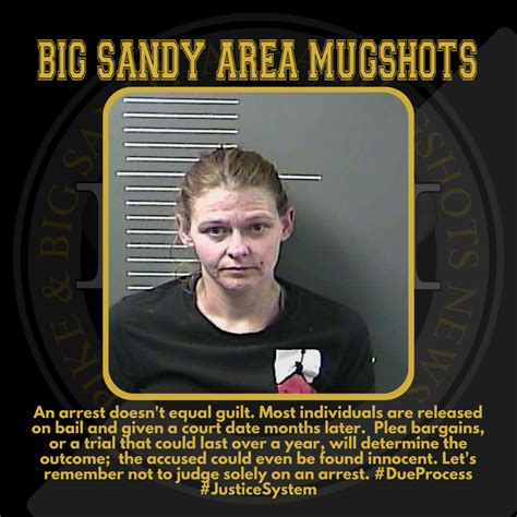 Sarah Booth Big Sandy Area Mugshots News