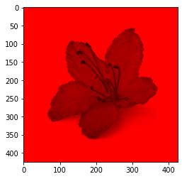 Intro To Opencv For Image Processing With Python Quassarian Viper