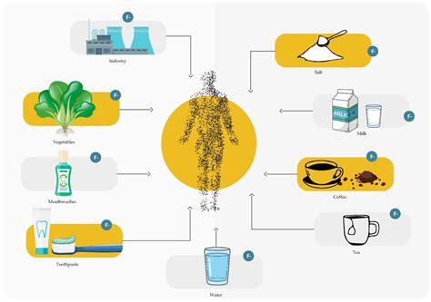 Fluoride In Water Effects