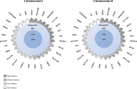 The Pan Genome Of V Anguillarum The Flower Plots Represent The Number