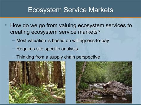 Measuring Valuation And Pricing Of Ecosystem Services Ppt