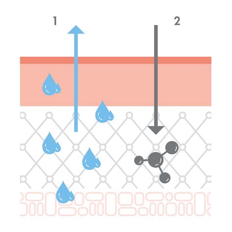 Eczema What Treatments Eau Thermale Avène