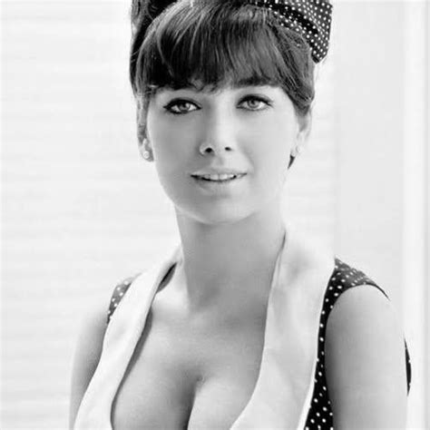 Sioa A Photo Of Young Actress Suzanne Pleshette 1960s
